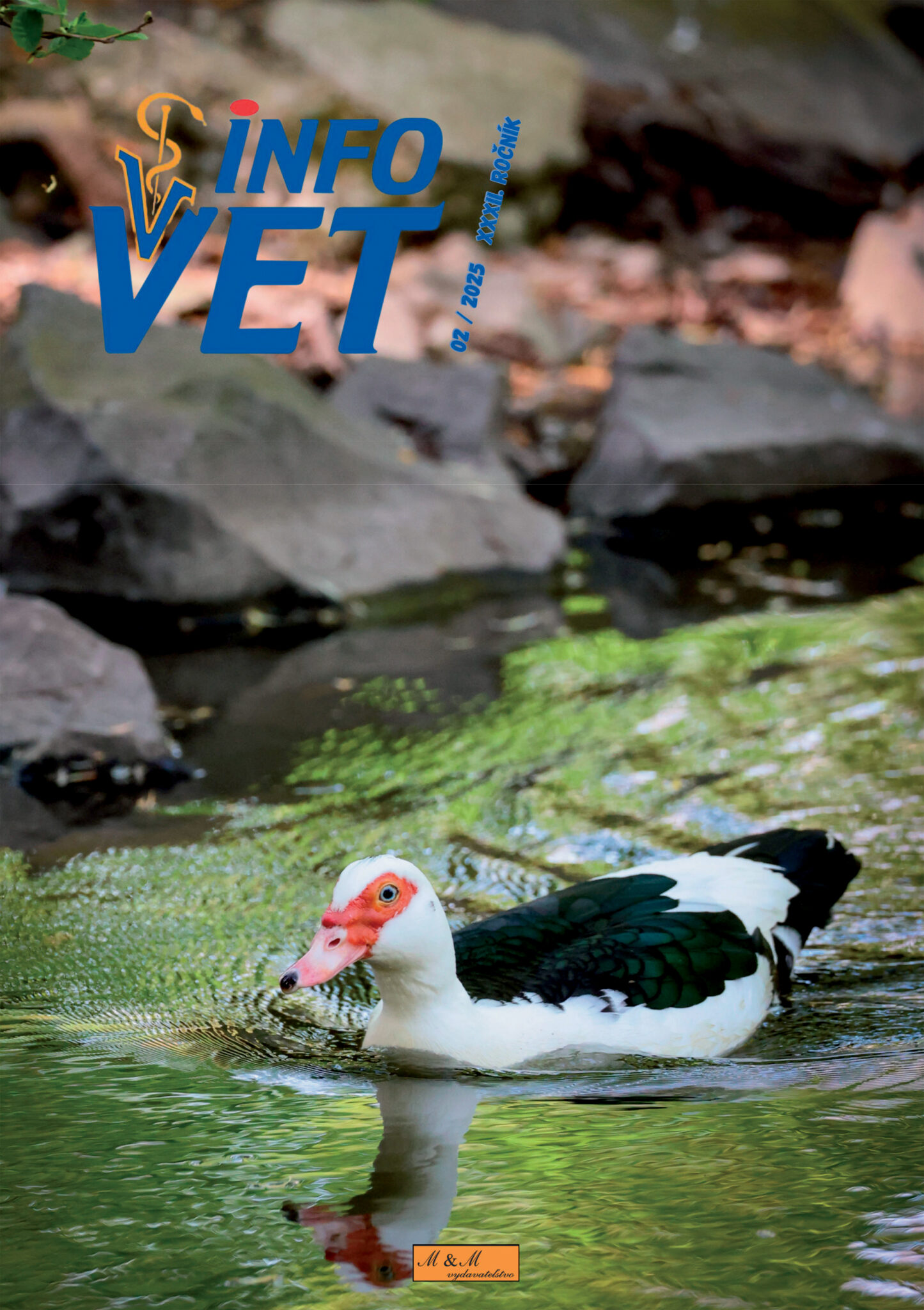 2. číslo 2025 - INFOVET - Veterinársky odborný časopis